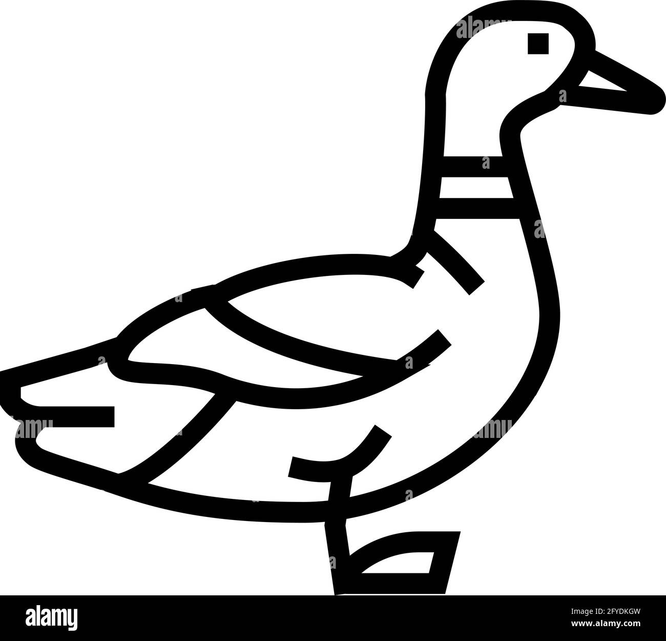 duck bird line icon vector illustration Stock Vector Image & Art - Alamy