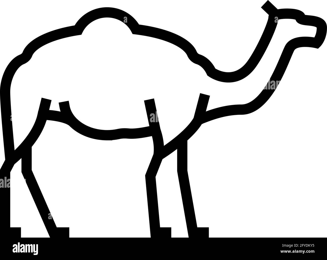 camel animal line icon vector illustration Stock Vector Image & Art - Alamy