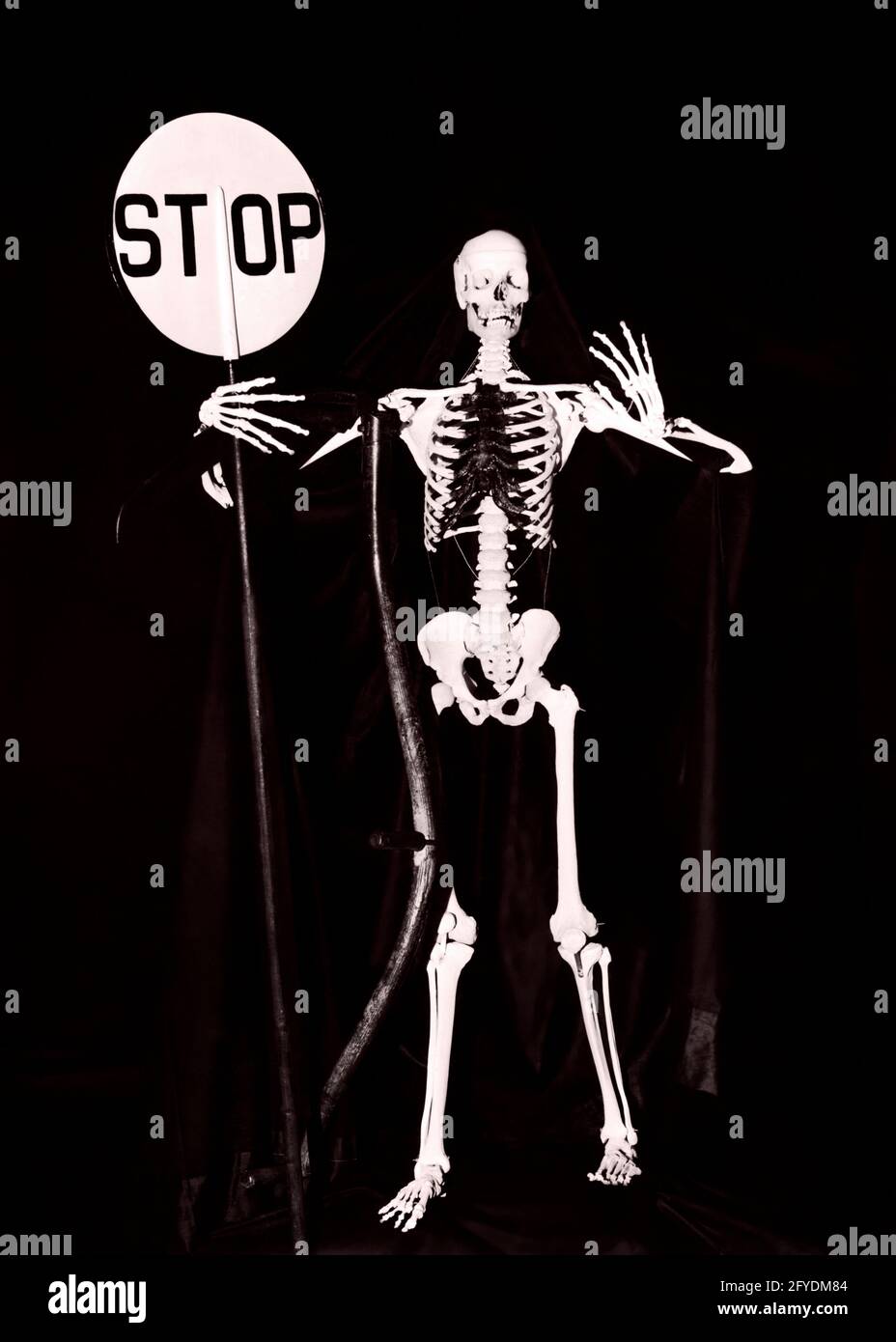 1930s SKELETON LOOKING AT CAMERA HOLDING A WARNING STOP SIGN AND GRIM ...