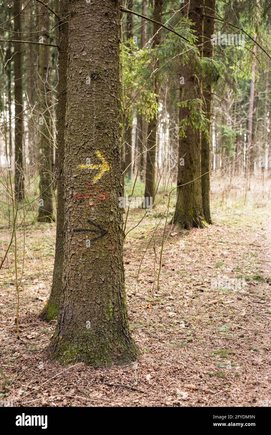 Tree points hi-res stock photography and images - Alamy