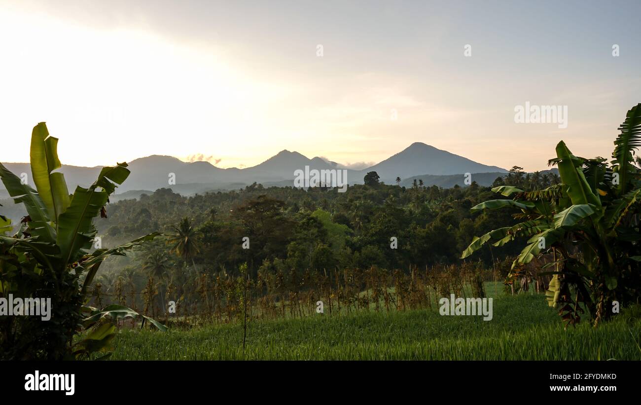 Landscape tropical countryside scenery in the morning Stock Photo - Alamy