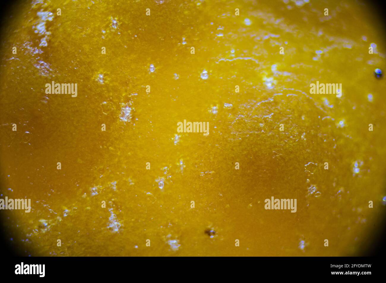 Mandarin peel under the light microscope, detailed peel close up ...