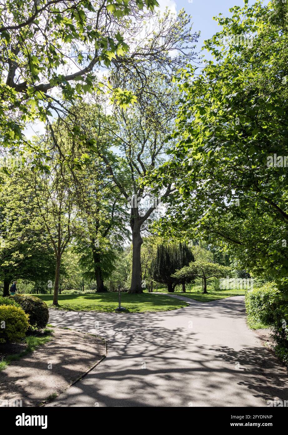 Springtime in Waterlow Park Highgate London UK Stock Photo - Alamy
