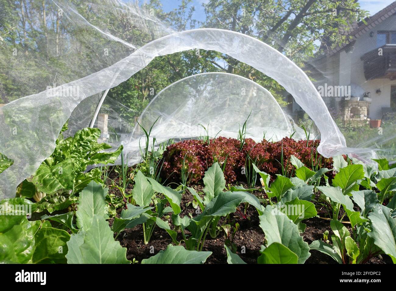 Gedeihen hi-res stock photography and images - Alamy