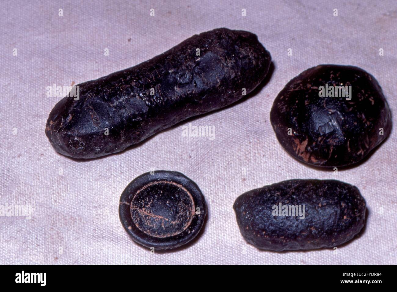 Tektites from in Australia Stock Photo - Alamy