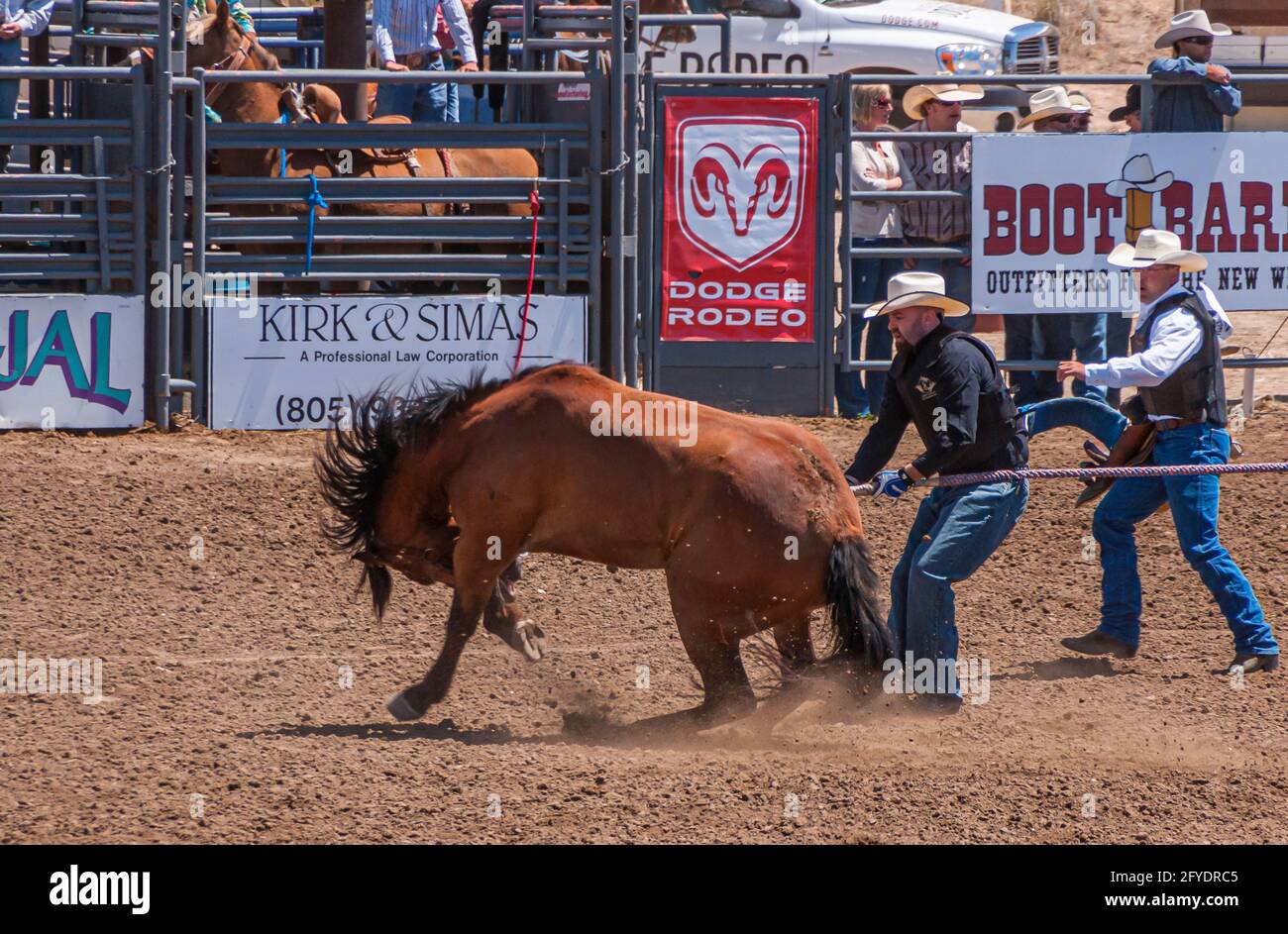Santa Maria, CA, USA - June 6, 2010: Rodeo. 2 men in blue jeans and ...