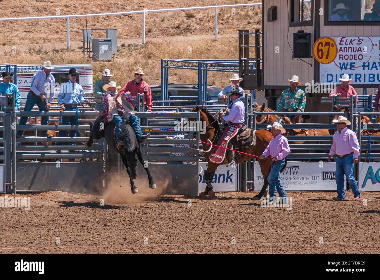 Santa Maria, CA, USA - June 6, 2010: Rodeo. Cowboy on black wild ...