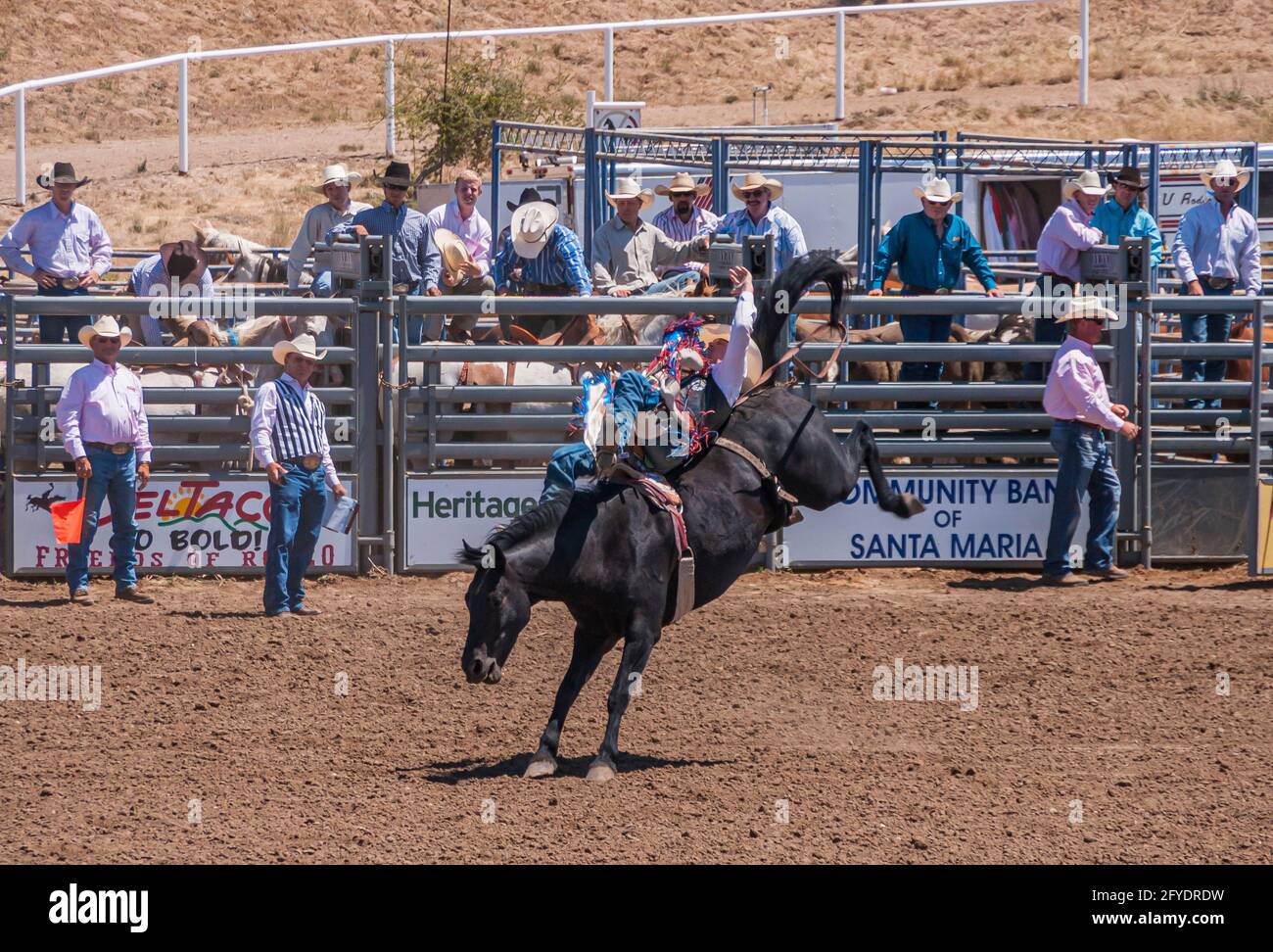 Bucking legs hi-res stock photography and images - Alamy