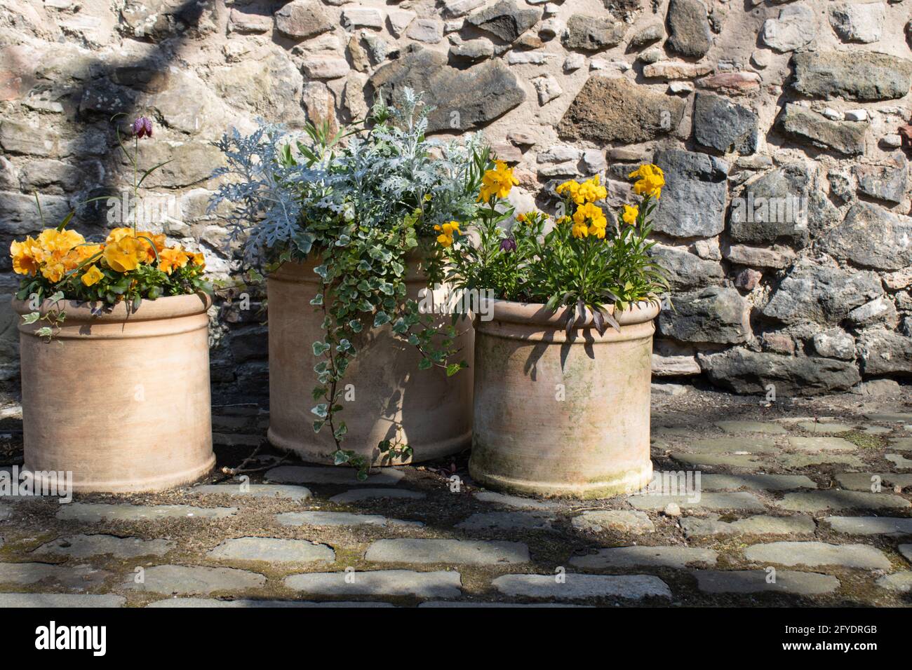 Flower scenes edinburgh hi-res stock photography and images - Alamy