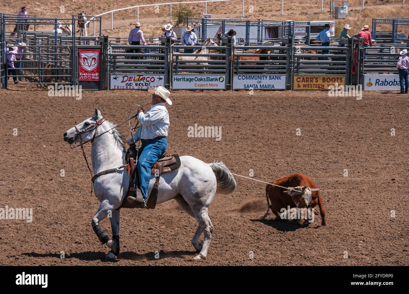 Rodeo used hi-res stock photography and images - Alamy