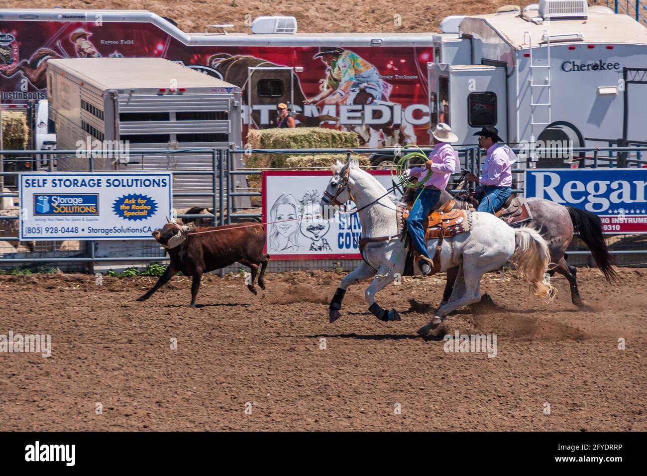 Santa Maria, CA, USA - June 6, 2010: Rodeo. brown calf is caught by ...