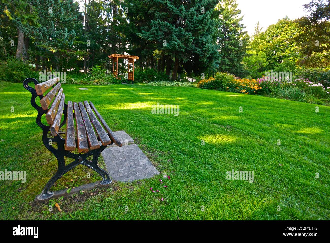 Park bench in a public park in Toronto, Ontario, Canada Stock Photo - Alamy