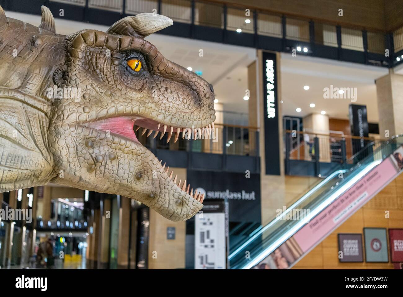 Cambridge, UK. 28th May, 2021. Huge model animatronic dinosaurs are ...