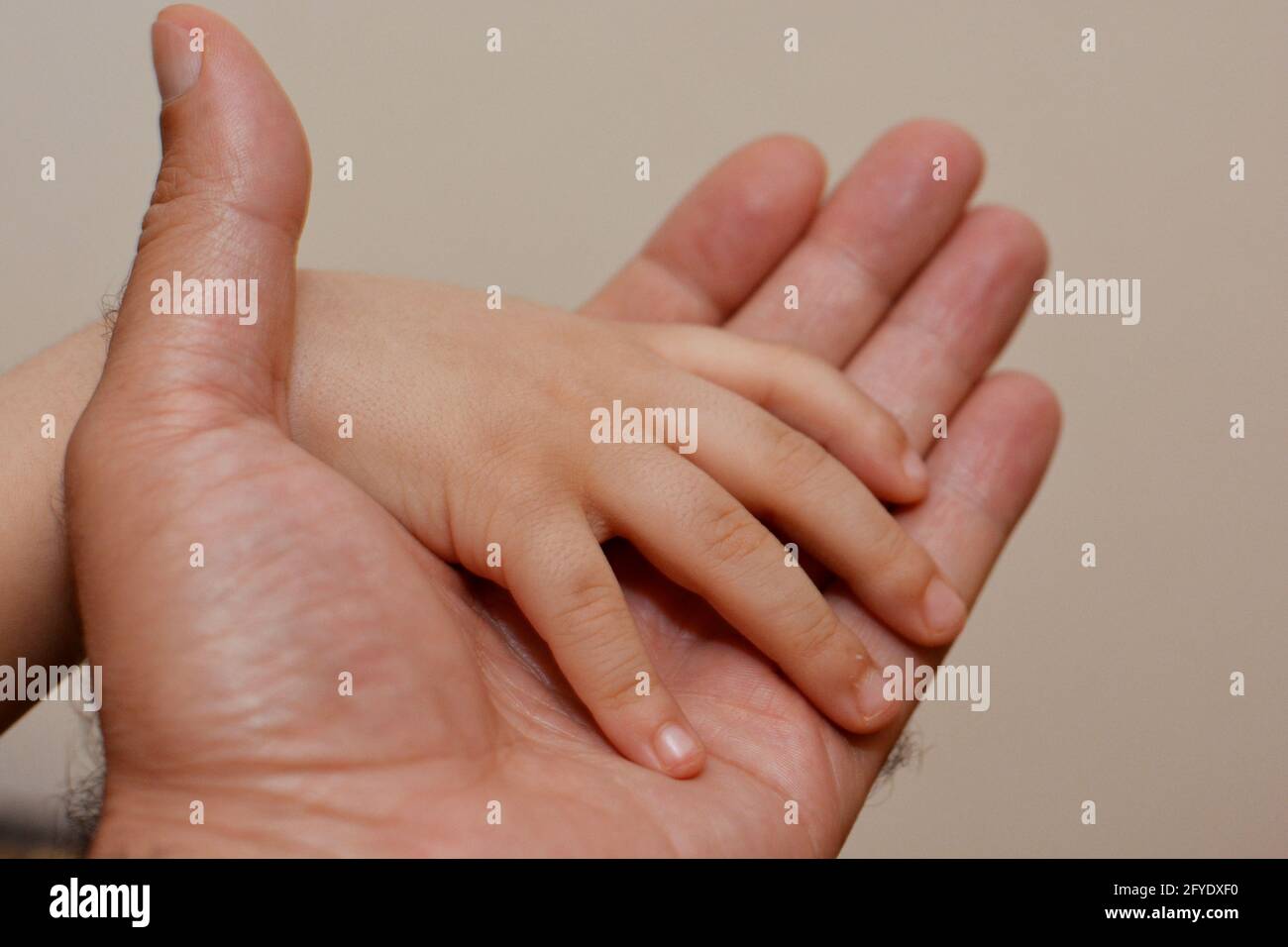 Father's and his son hands. Dad leading son, Father's day concept ...