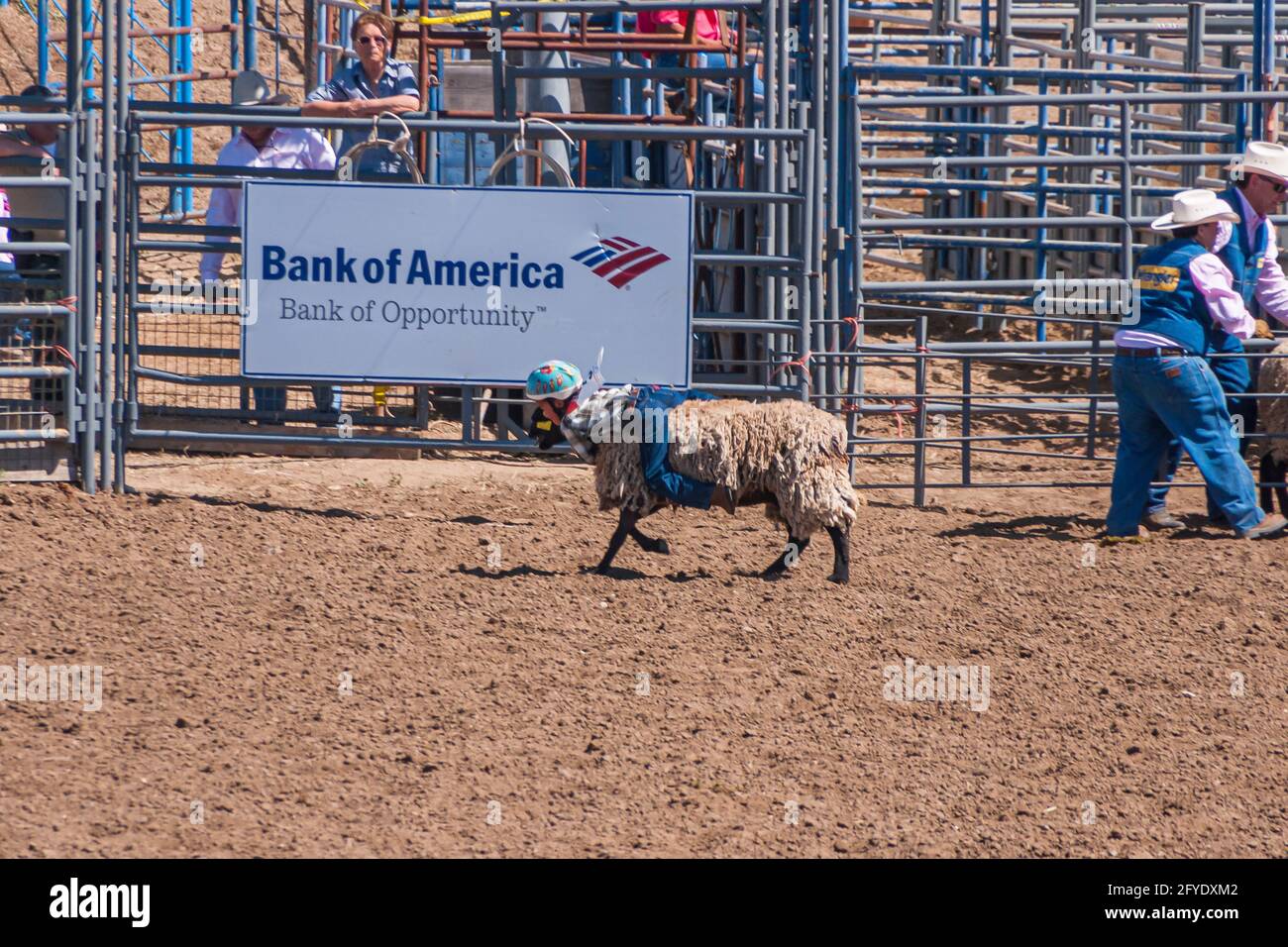 Usa running of the bulls hi-res stock photography and images - Alamy