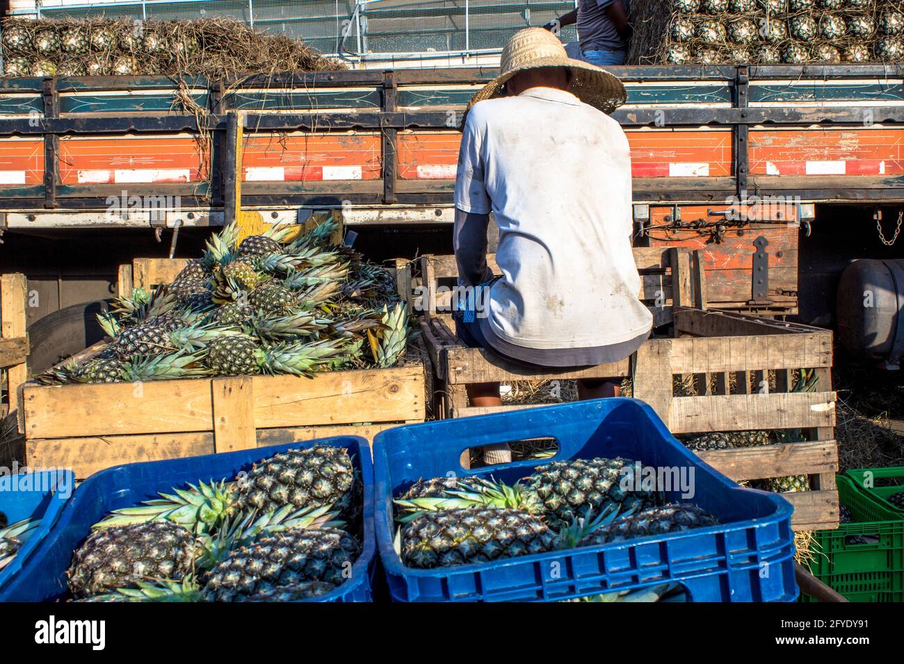 Unloading pineapple boxes hi-res stock photography and images - Alamy