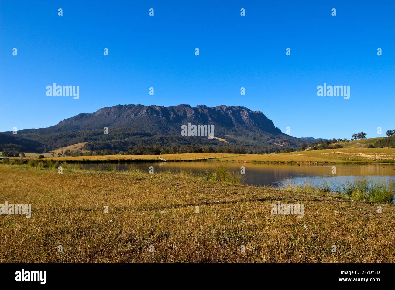 Mount Roland, Tasmania Stock Photo - Alamy