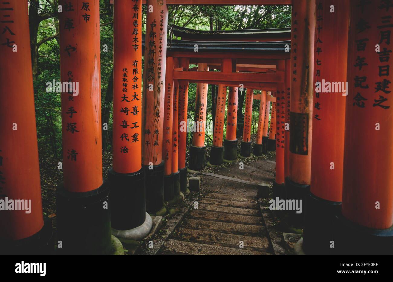 Torii pathway walkway hi-res stock photography and images - Alamy