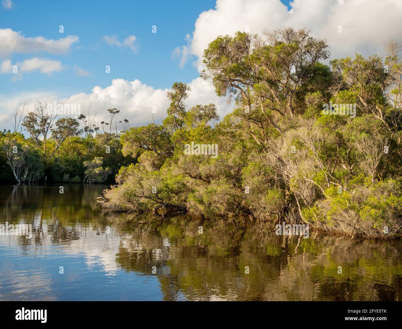 The Donnelly River flowing through the D'Entrecasteaux National Park in ...