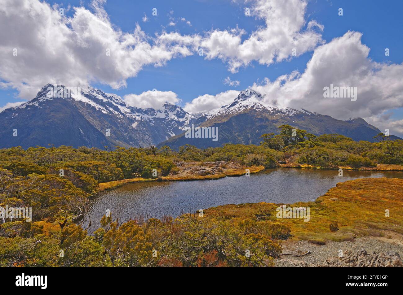 Alpine Vistas on a High Mountain Plateau on the Key on the Routeburn ...