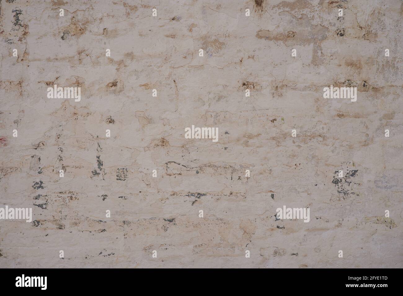 Painted brick wall texture. White color. Background Stock Photo - Alamy