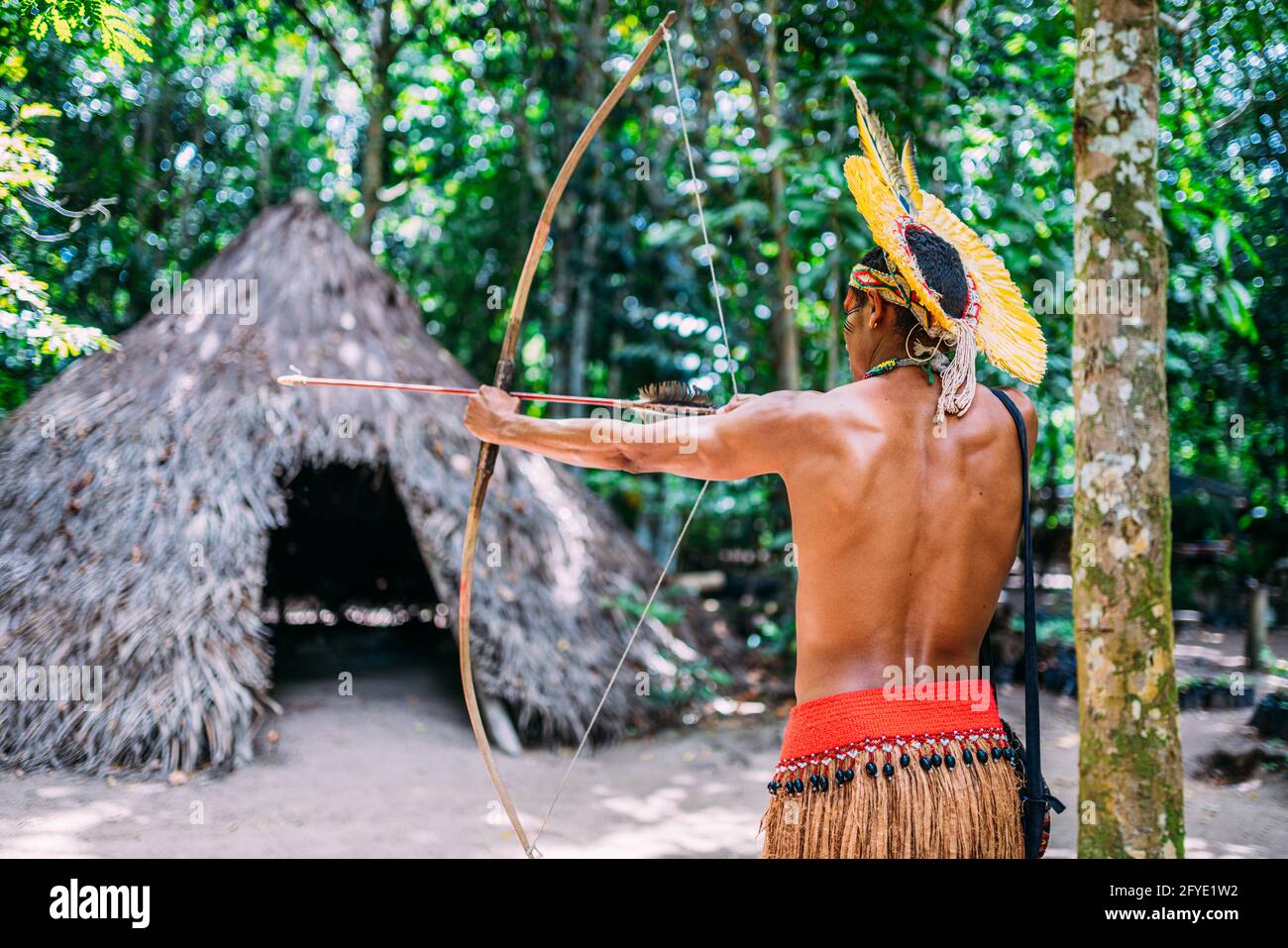 Indigenous brazilian symbol hi-res stock photography and images - Alamy