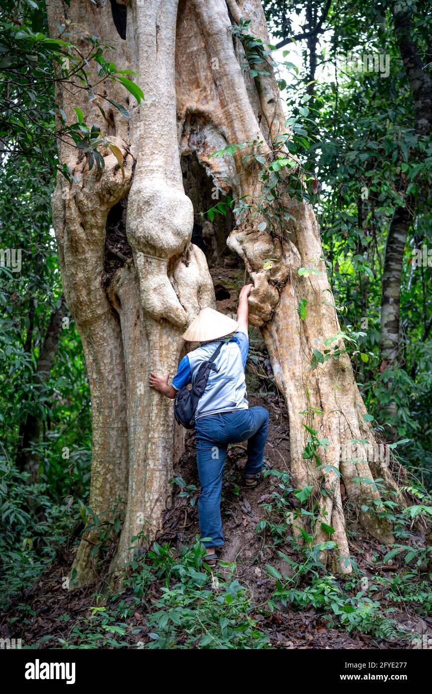 Ma Da Forest, Dong Nai Province, Vietnam - May 22, 2021: male tourists ...