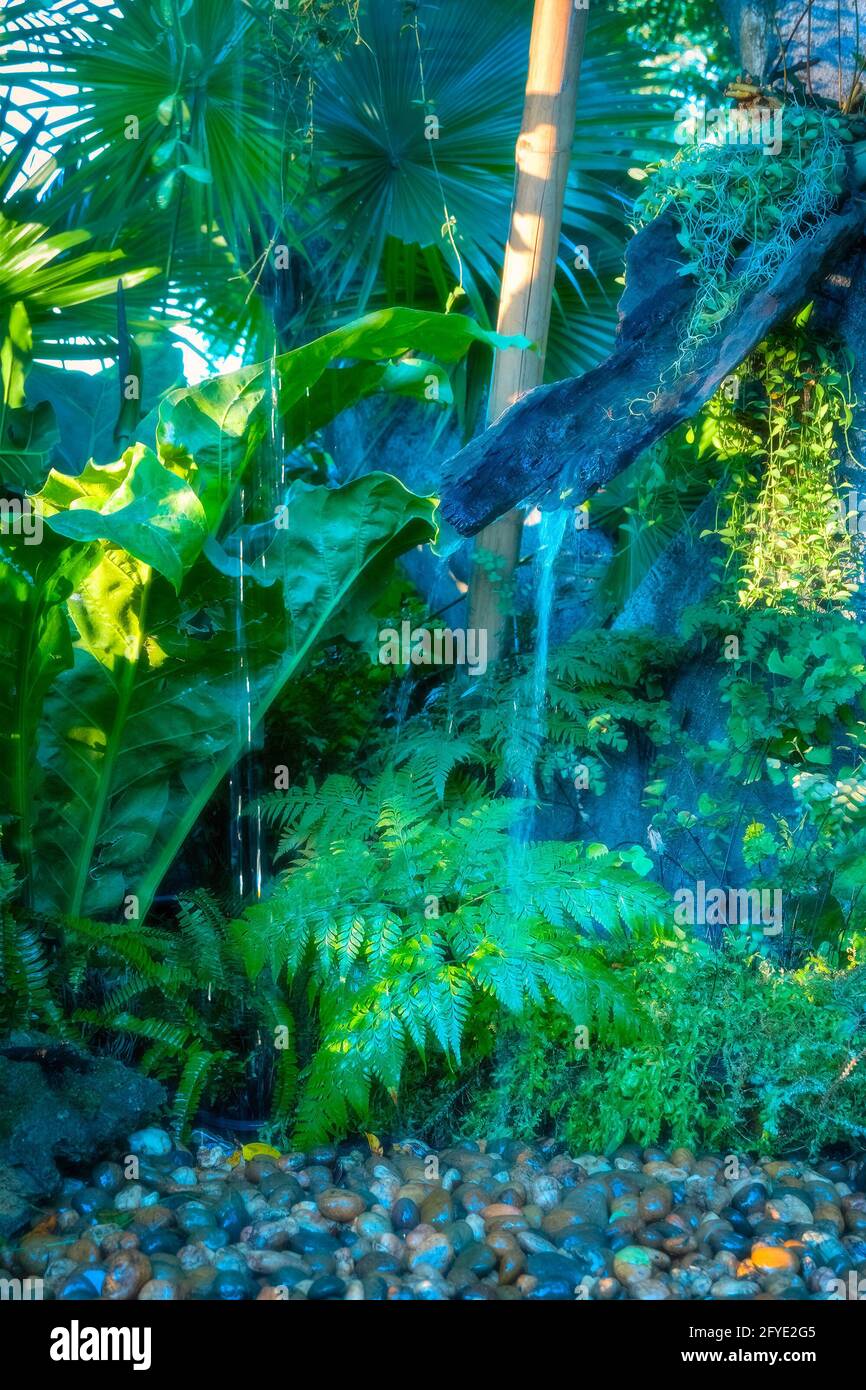 A Beautiful Landscape of a Garden with Plants and Trees Stock Photo - Alamy