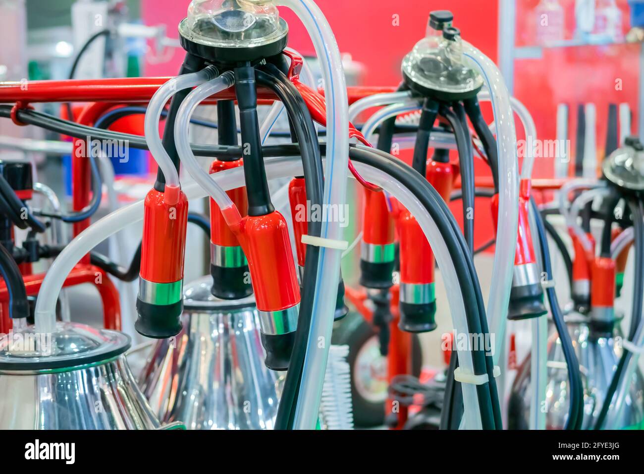 Teat cups of automated cow milking suction machine Stock Photo - Alamy