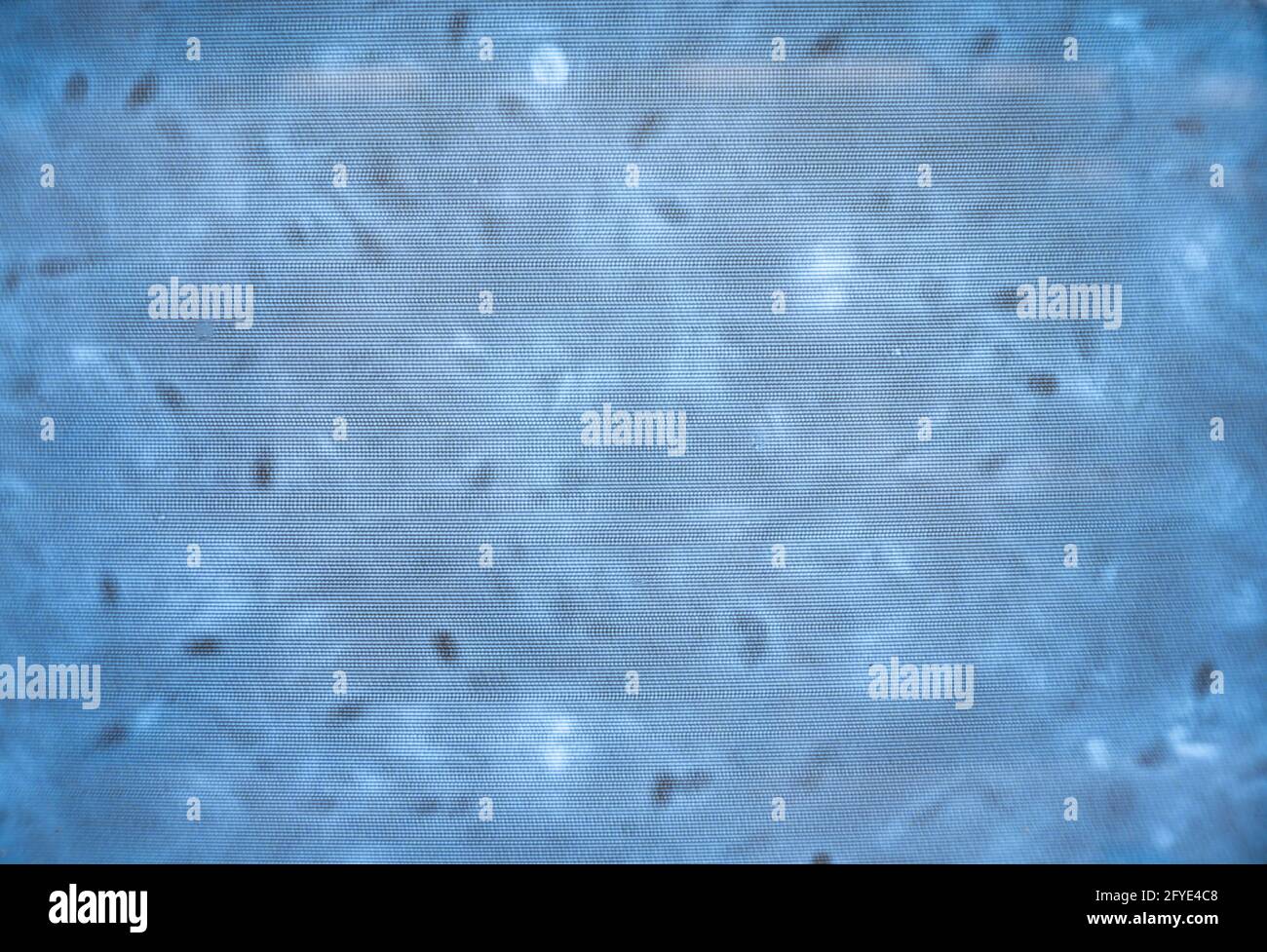 Ilsfeld, Germany. 25th May, 2021. Boar ejaculate can be seen in a ...