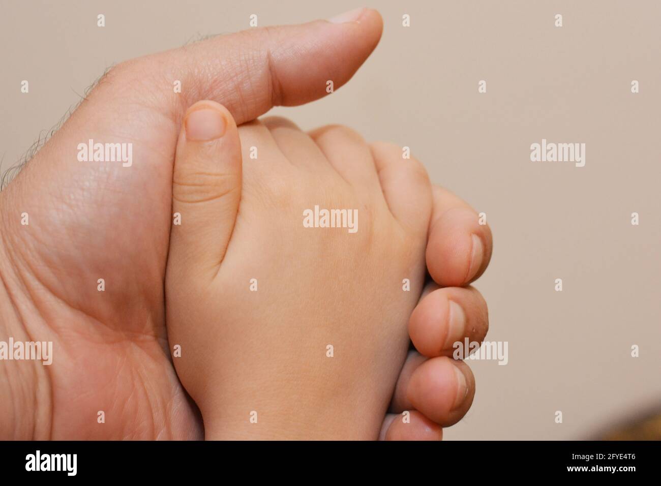 Father's and his son hands. Dad leading son, Father's day concept ...