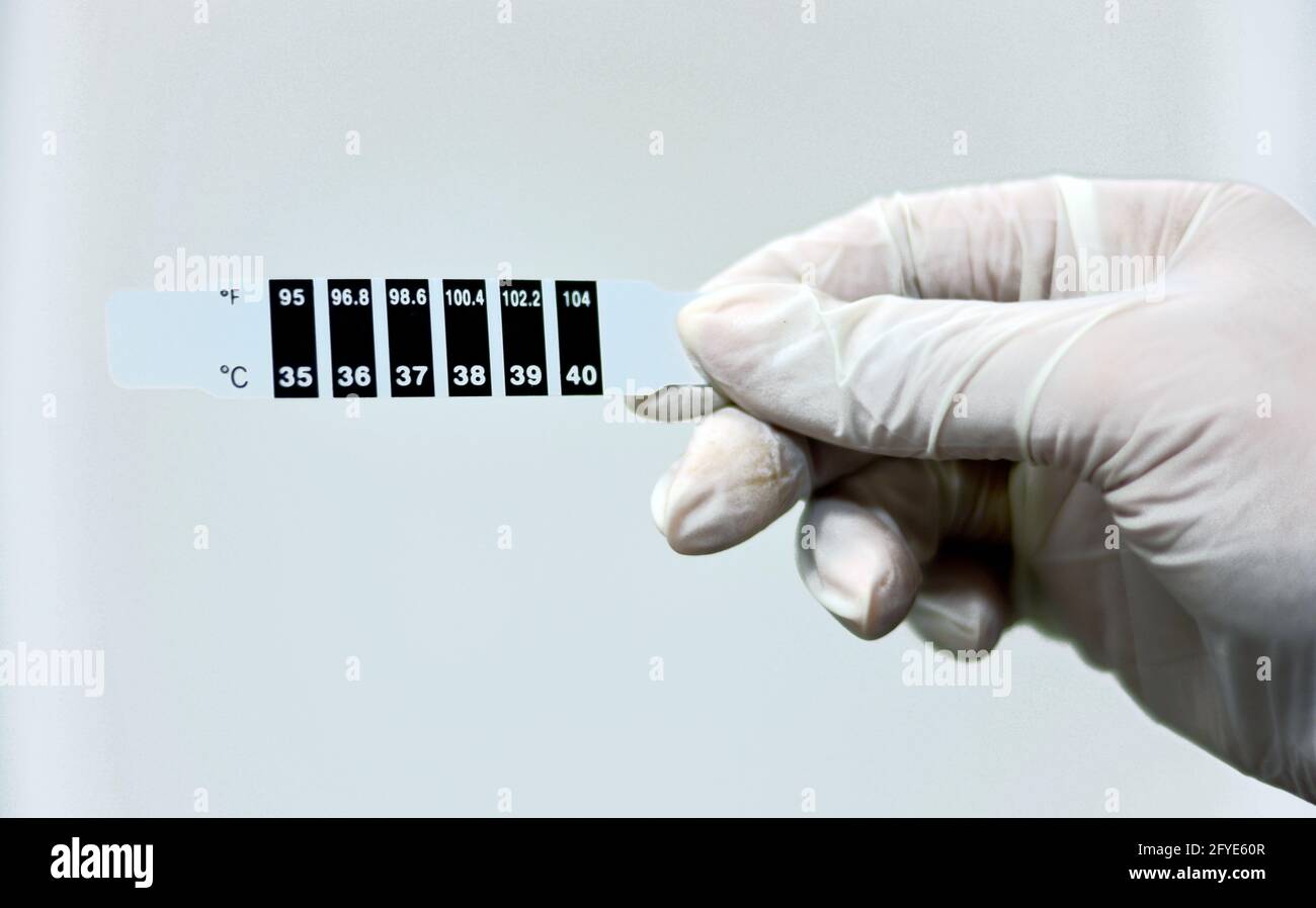 Fast Check Forehead Thermometer Strip. for Home or School. Reusable ...