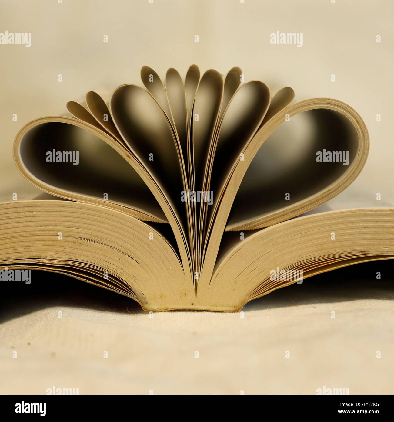 Page fold hi-res stock photography and images - Alamy