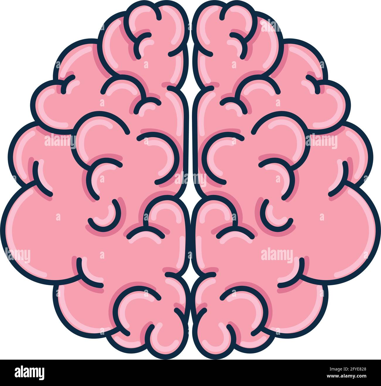brain human organ Stock Vector Image & Art - Alamy