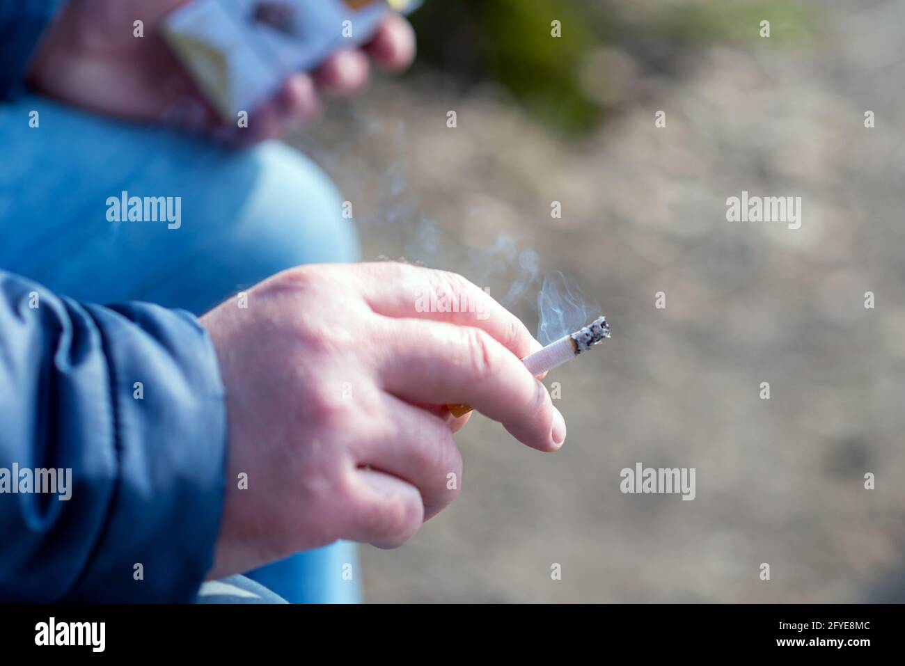 Hand picking tobacco hi-res stock photography and images - Alamy