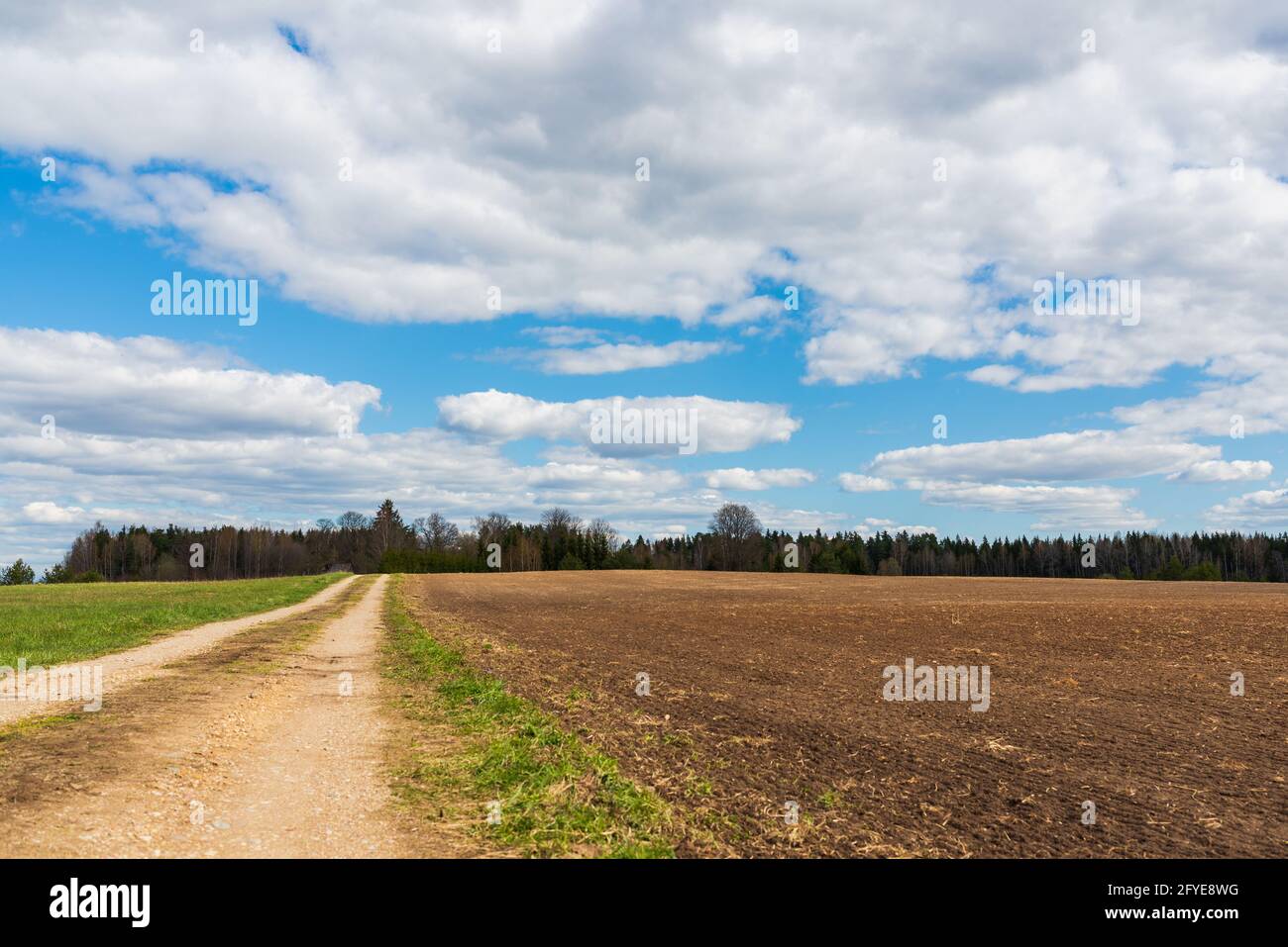 Rural countryside Road lane and deep blue sky,white cloud. Nature ...