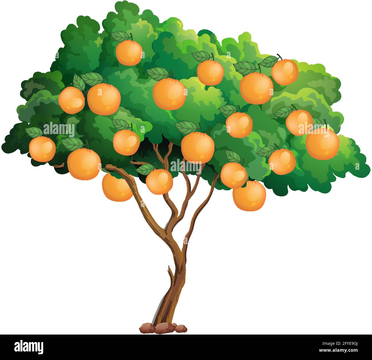 Orange tree isolated on white background illustration Stock Vector ...