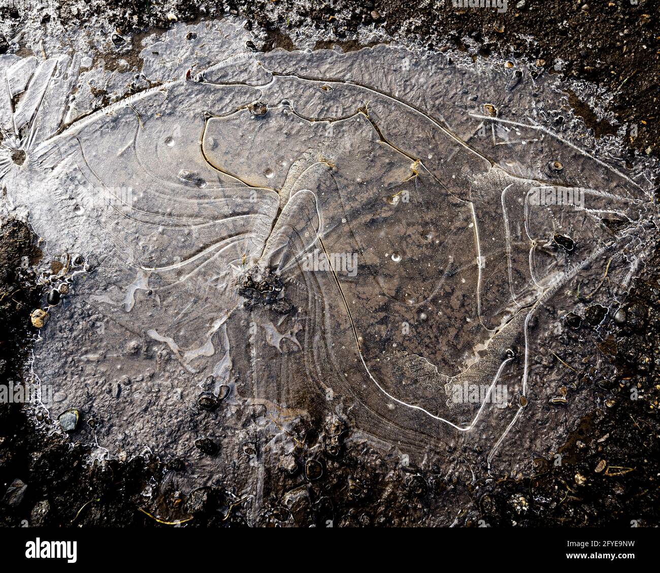 Frozen soil layer hi-res stock photography and images - Alamy