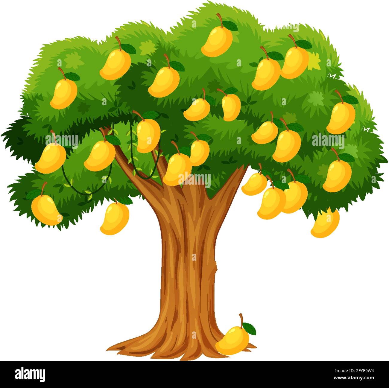 Yellow mango tree isolated on white background illustration Stock ...