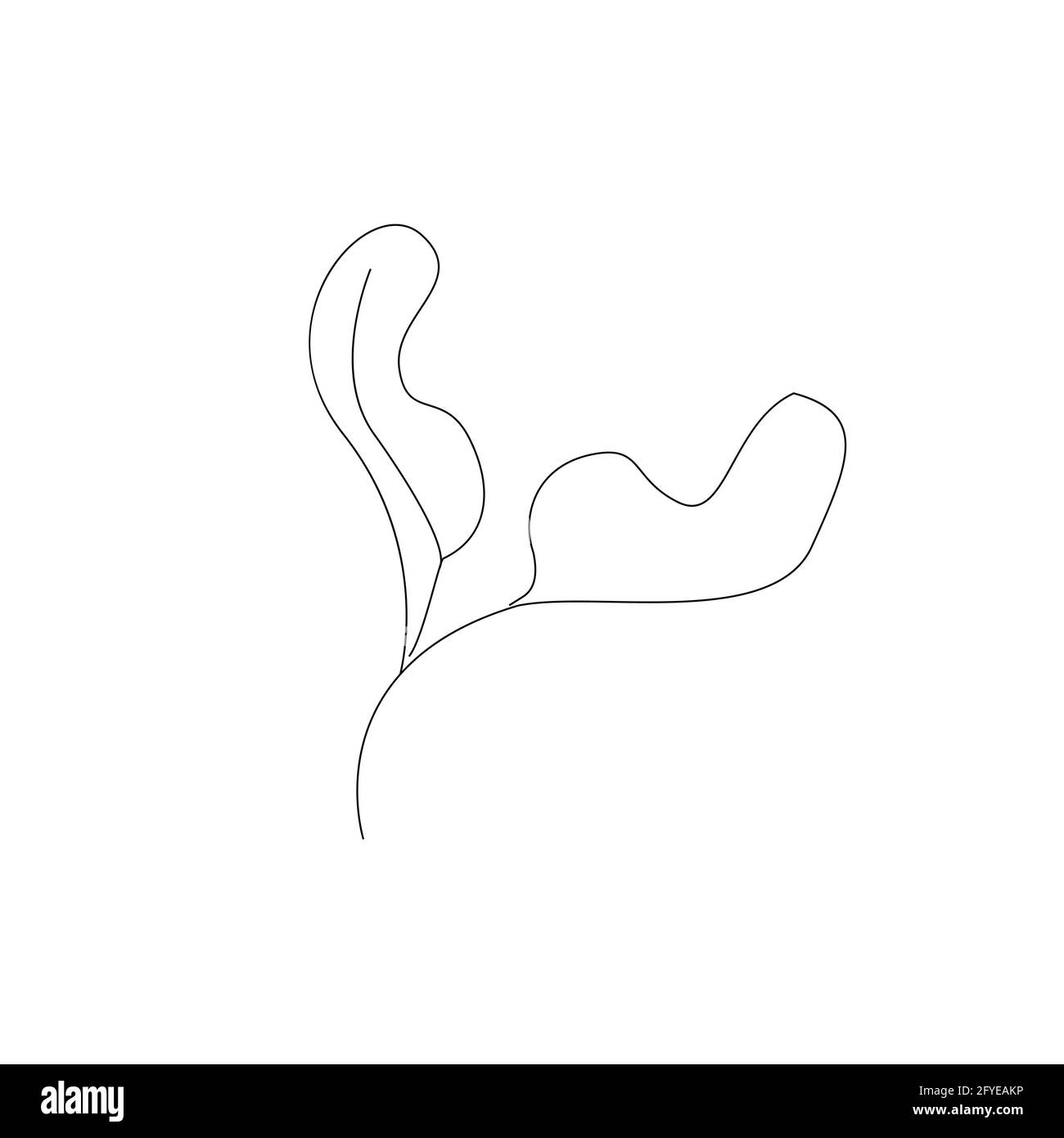 Flat linear art flower leaf for decoration design Stock Vector Image ...