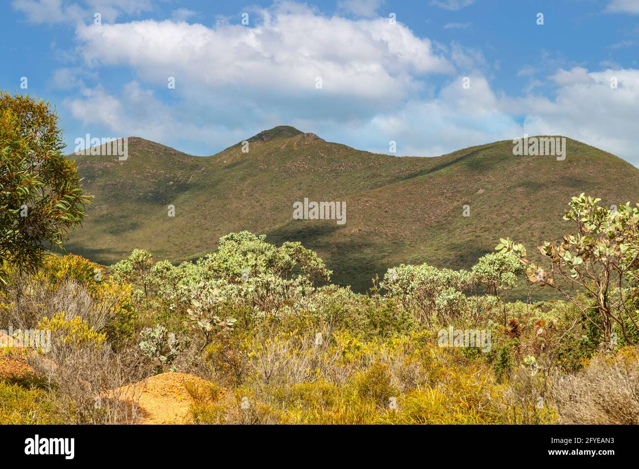Mt magog in stirling range hi-res stock photography and images - Alamy