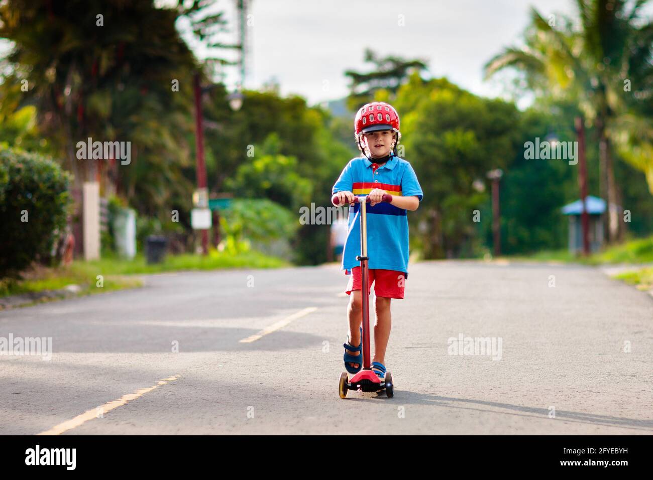 Little boy riding scooter. Kids ride kick board. Child playing on ...