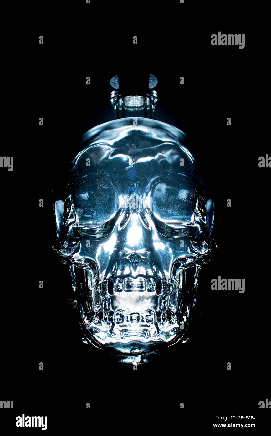 Skull sculpture illustration hi-res stock photography and images - Alamy