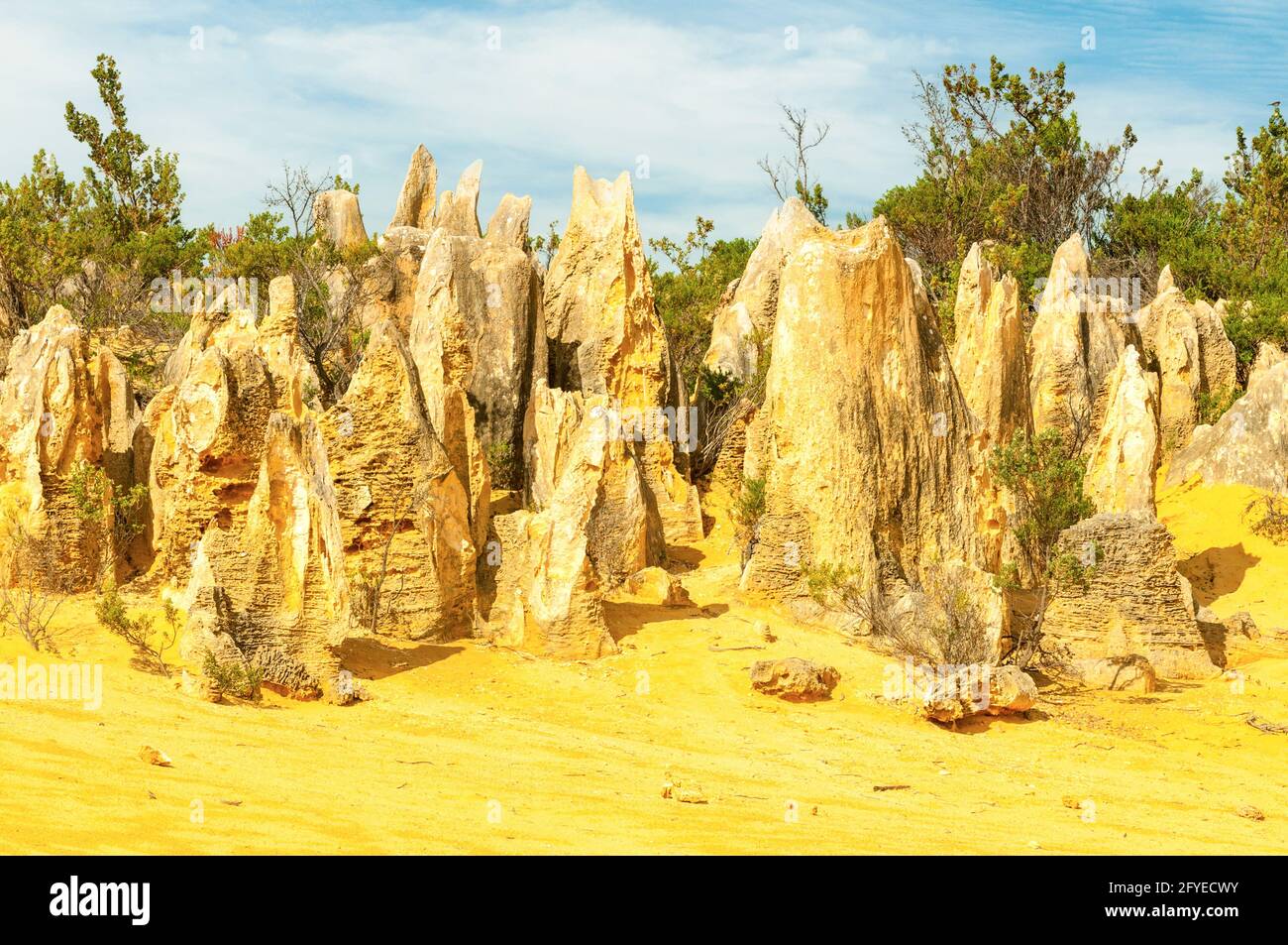 Western australia rock pinnacles hi-res stock photography and images ...
