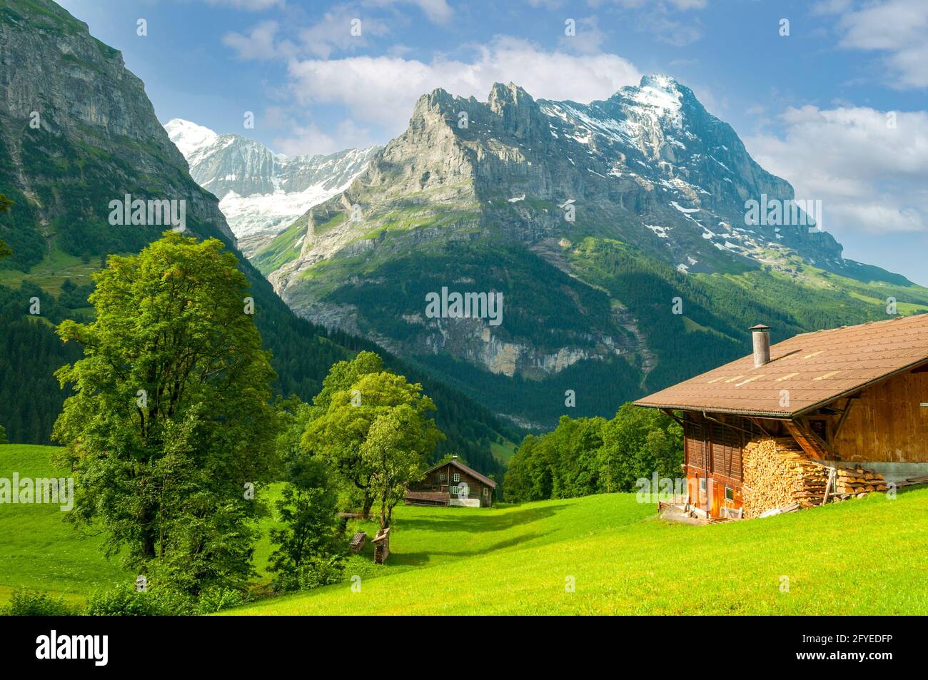 View from Grindelwald, Switzerland Stock Photo - Alamy