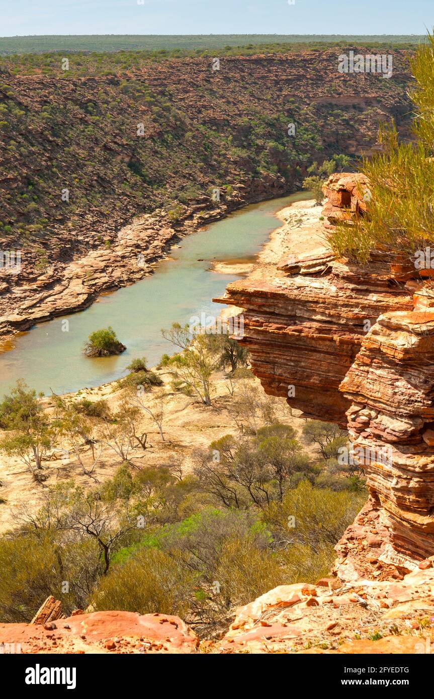 Natures window view hi-res stock photography and images - Alamy