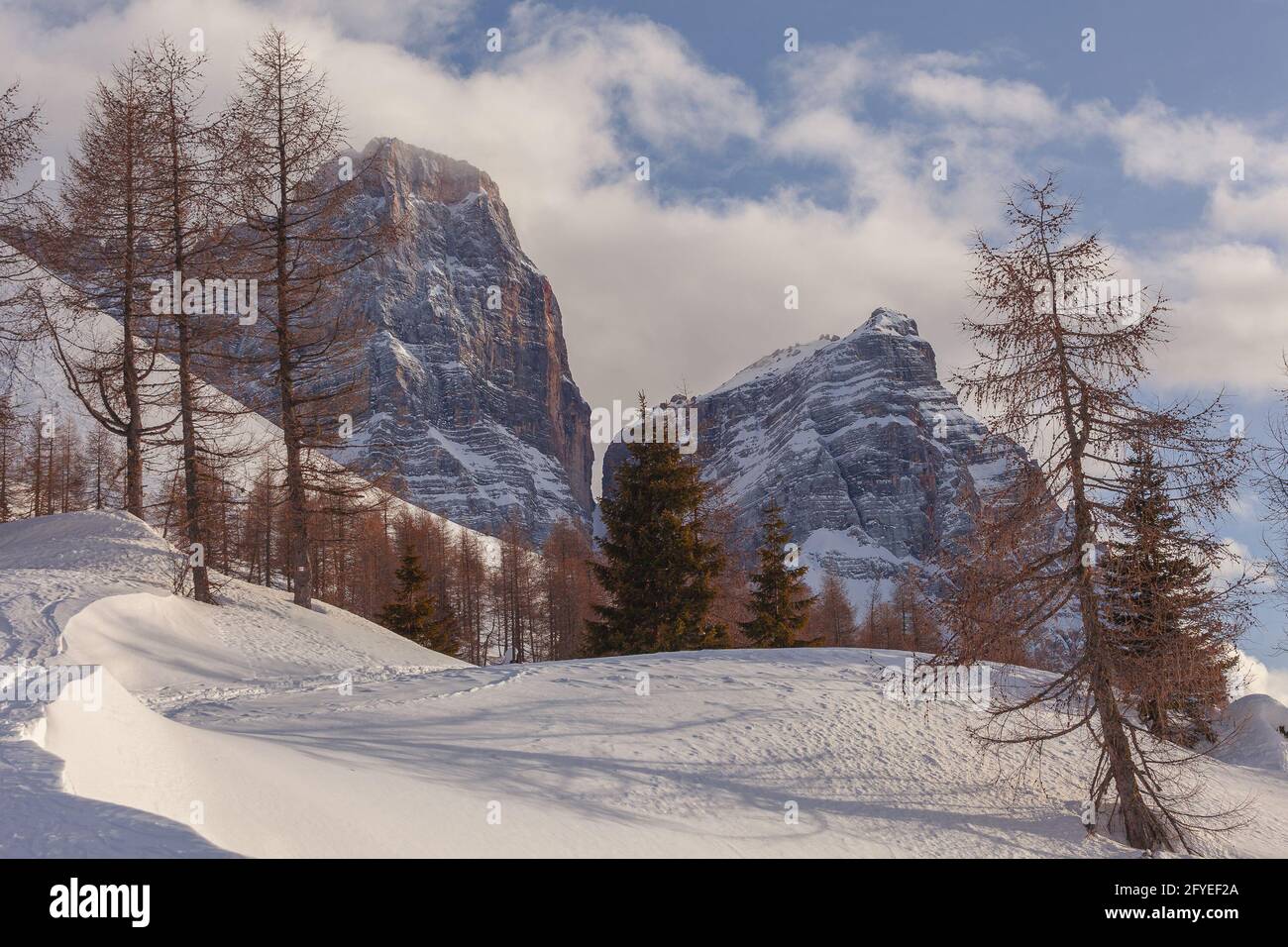Sunset winter panorama of northern side of Mount Pelmo behind larch ...