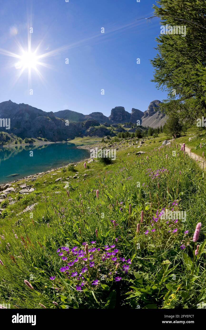 Lake dallos hi-res stock photography and images - Alamy