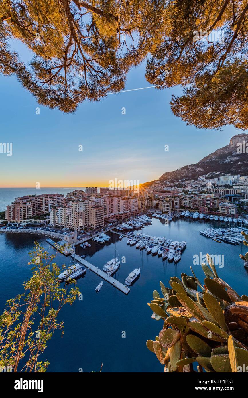 PRINCIPALITY OF MONACO, FONTVIEILLE HARBOUR Stock Photo - Alamy