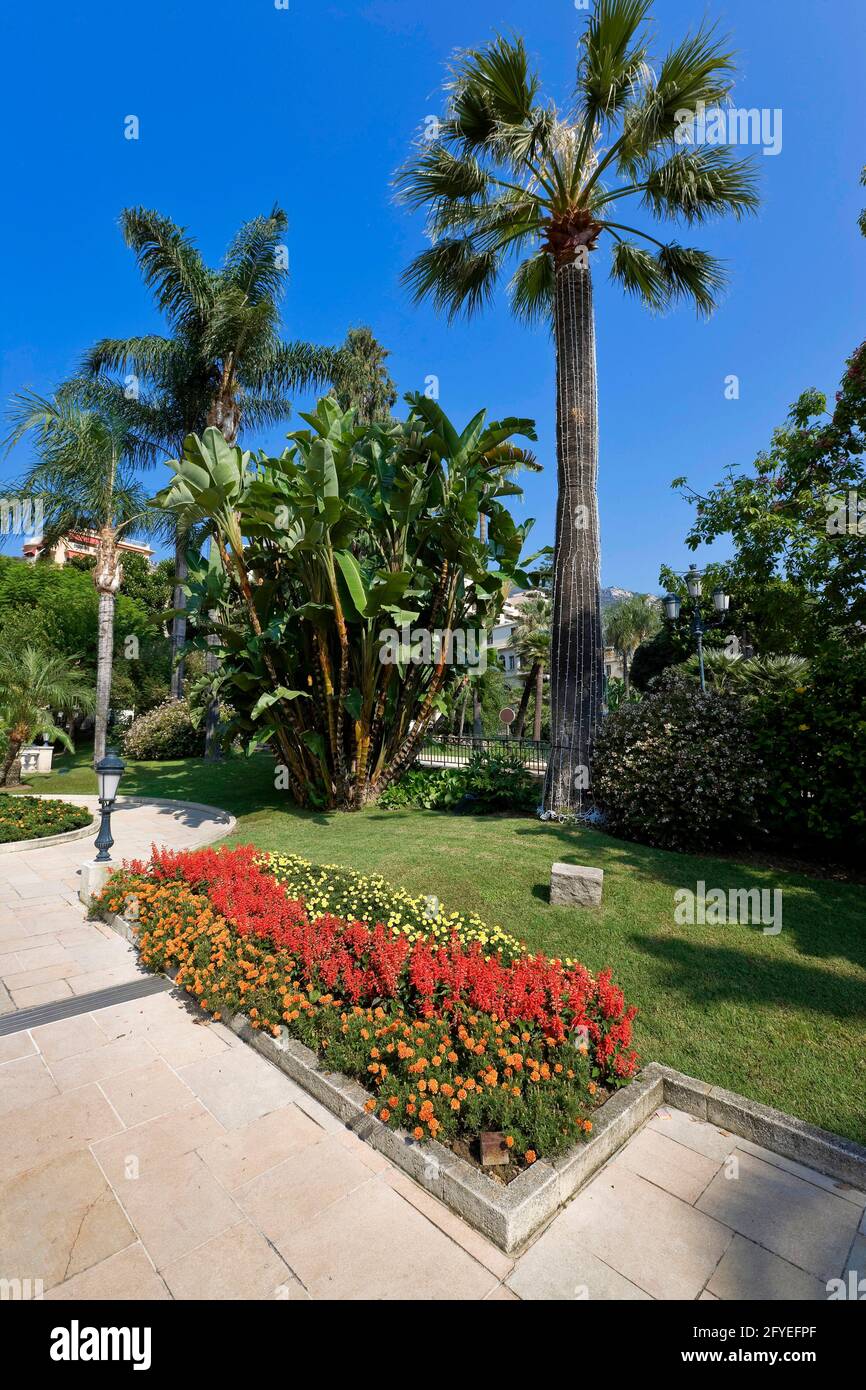 Exotic gardens monaco hi-res stock photography and images - Alamy